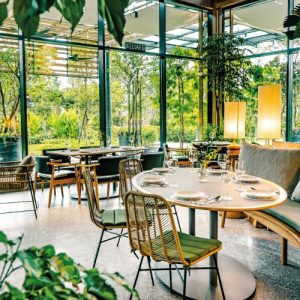 Botanica+Co | Bamboo Hills